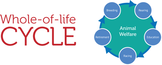 whole-of-life-cycle - Greyhound Care & Standards